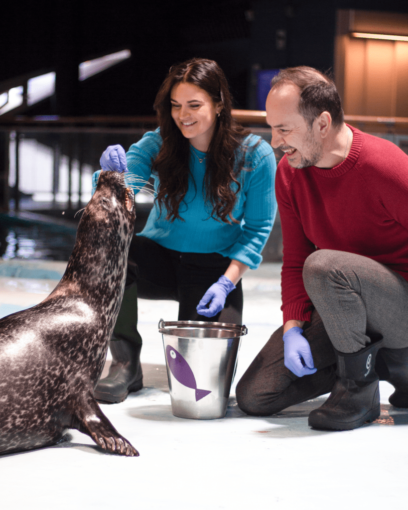 Experiences | Polaria